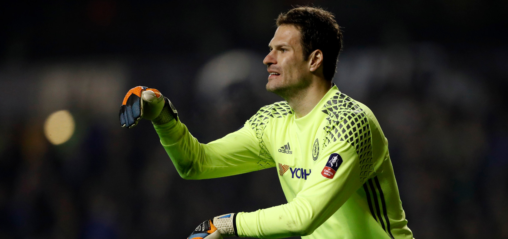 Moving Target - Asmir Begovic - Best FPL Tips, Advice, Team News, Picks ...