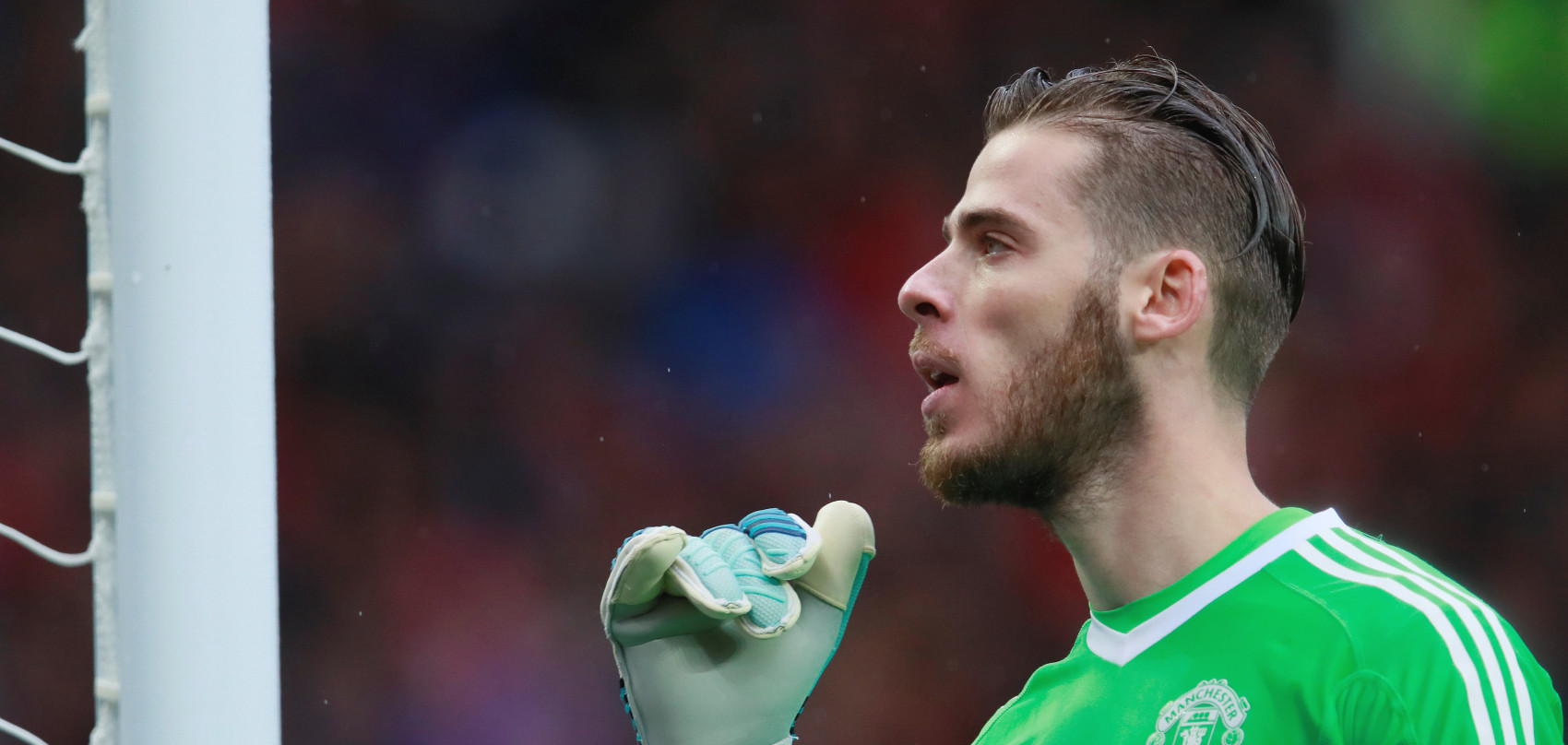 Monitor - David De Gea - Best FPL Tips, Advice, Team News, Picks, and ...